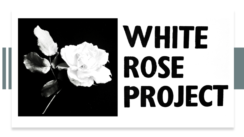 White Rose Translation Project 2020-2021 – WHITE ROSE PROJECT